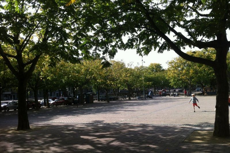 On the Grid : Amstelveld