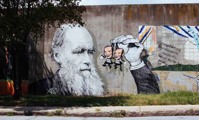 On the Grid : Forward Warrior Wall