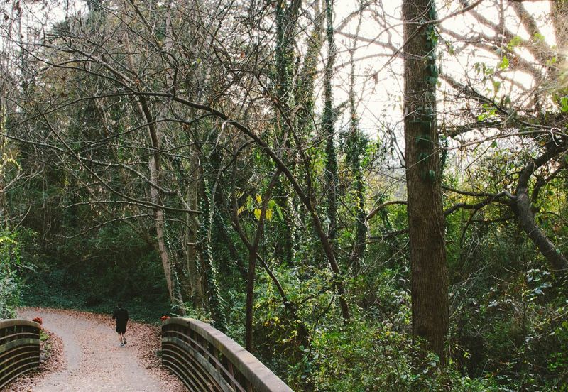On the Grid : Chastain Park
