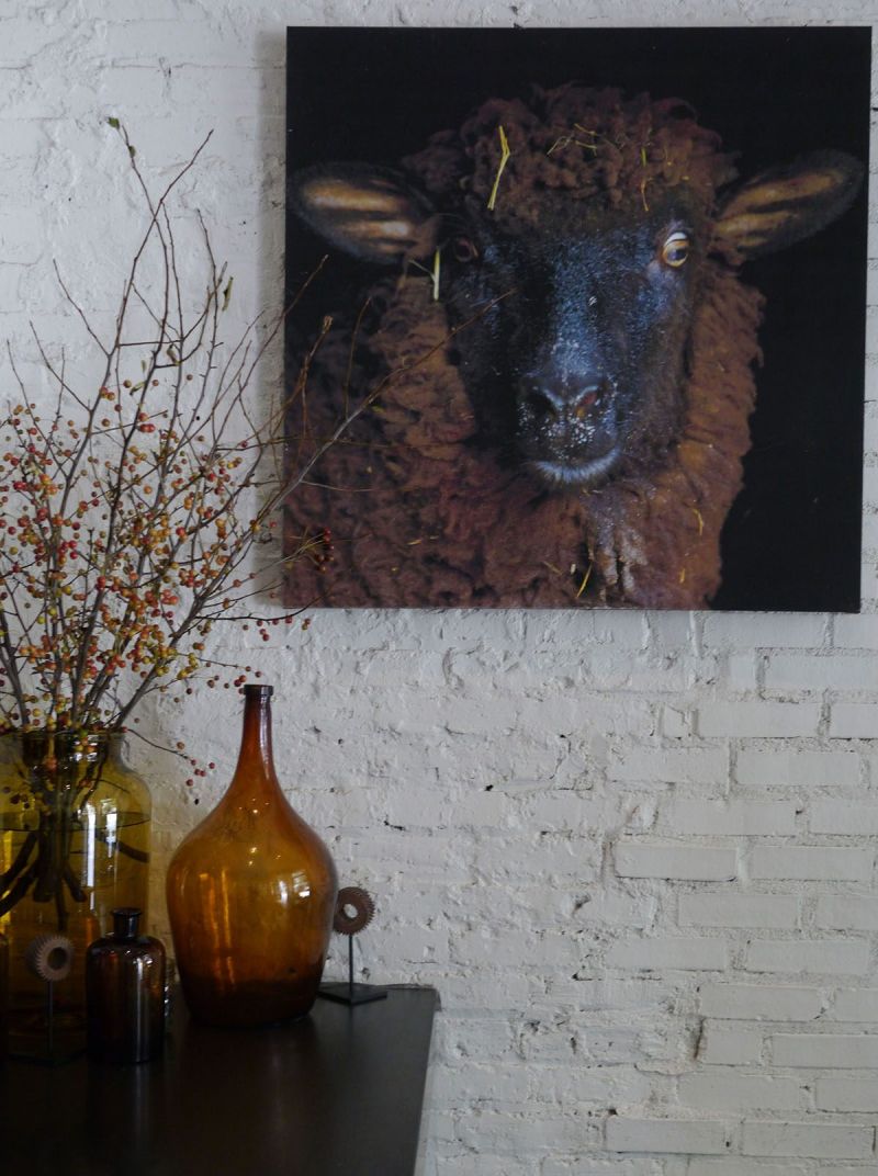 On the Grid : No. 246