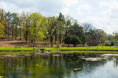 On the Grid : Avondale Park