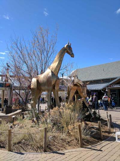 On the Grid : Denver Zoo