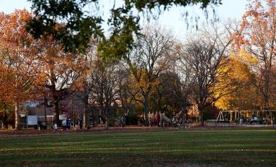 On the Grid : Wilcox Park