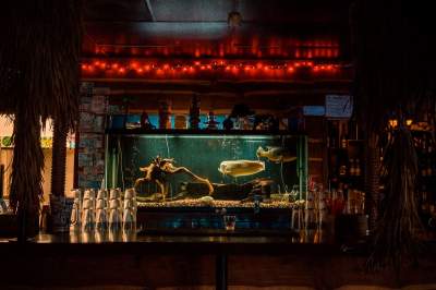 On the Grid : Voodoo Queen