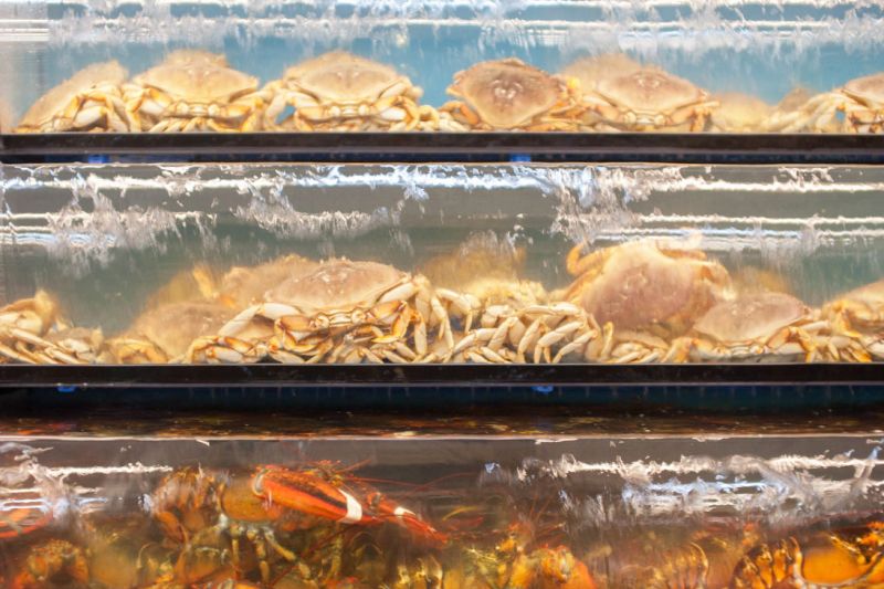 On the Grid : H Mart