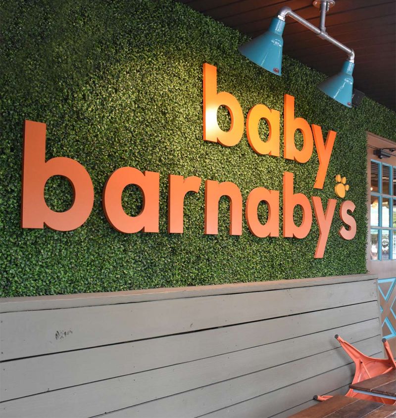 On the Grid : Baby Barnaby's