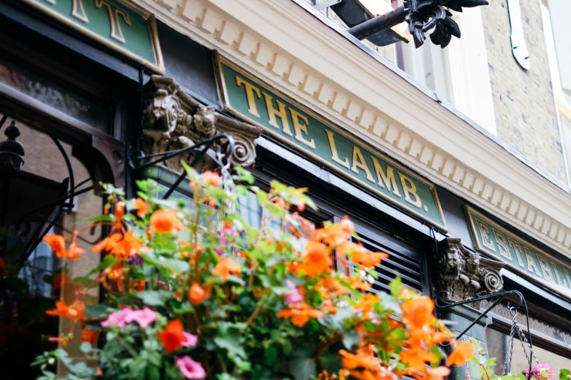 On the Grid : The Lamb