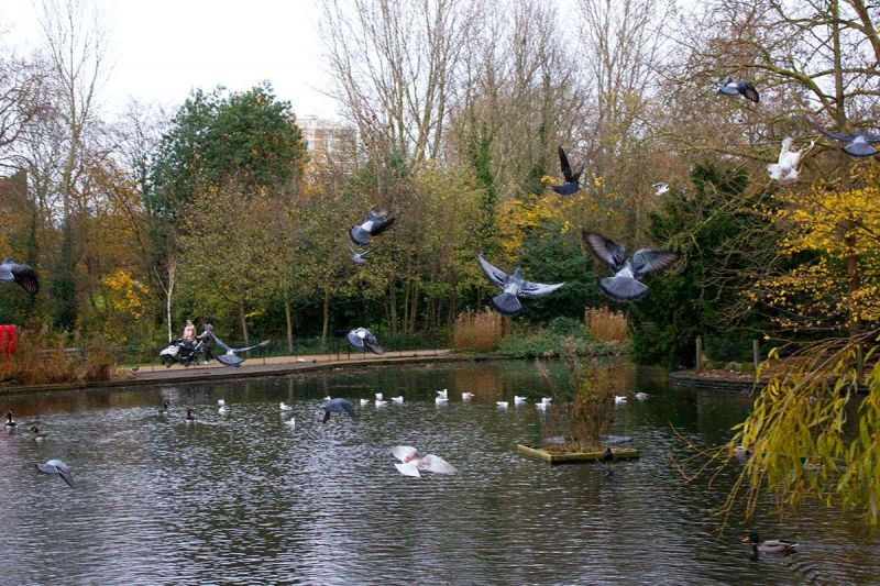 On the Grid : Peckham Park & Common