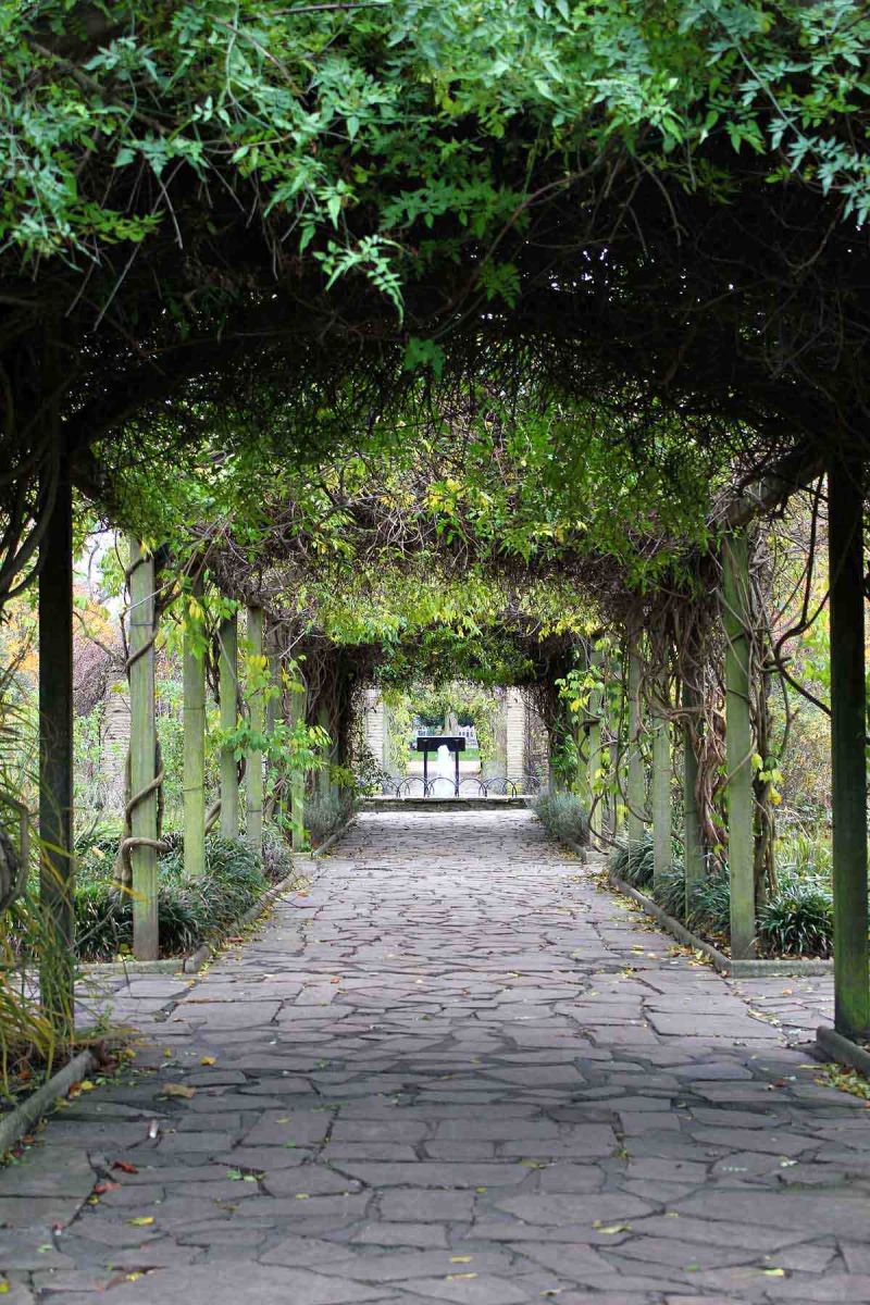 On the Grid : Peckham Park & Common