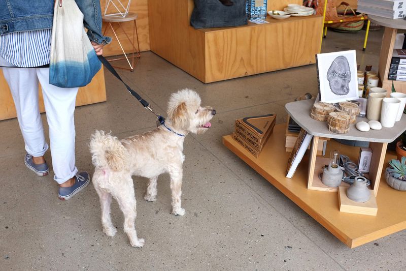 On the Grid : Poketo