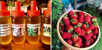 On the Grid : Yuko Kitchen