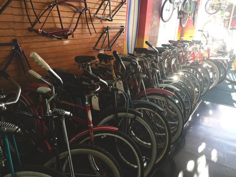 On the Grid : Palms Cycle