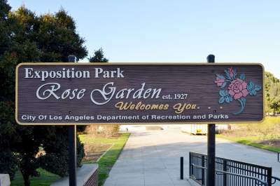 On the Grid : Rose Garden