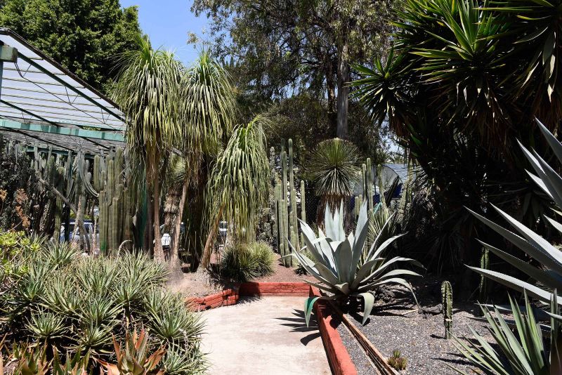 On the Grid : Viveros de Coyoacán