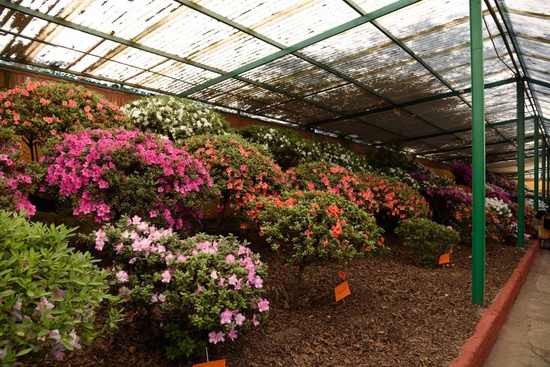 On the Grid : Viveros de Coyoacán