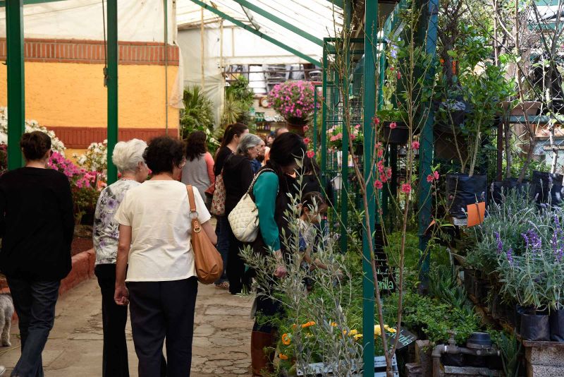 On the Grid : Viveros de Coyoacán