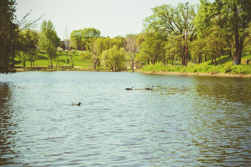 On the Grid : Powderhorn Park