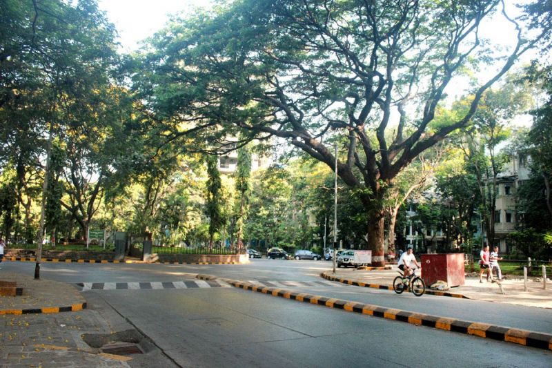On the Grid : Dadar Parsi Colony