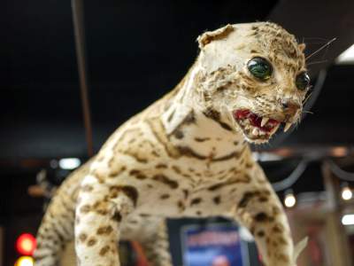 On the Grid : Pacific Galleries Antique Mall