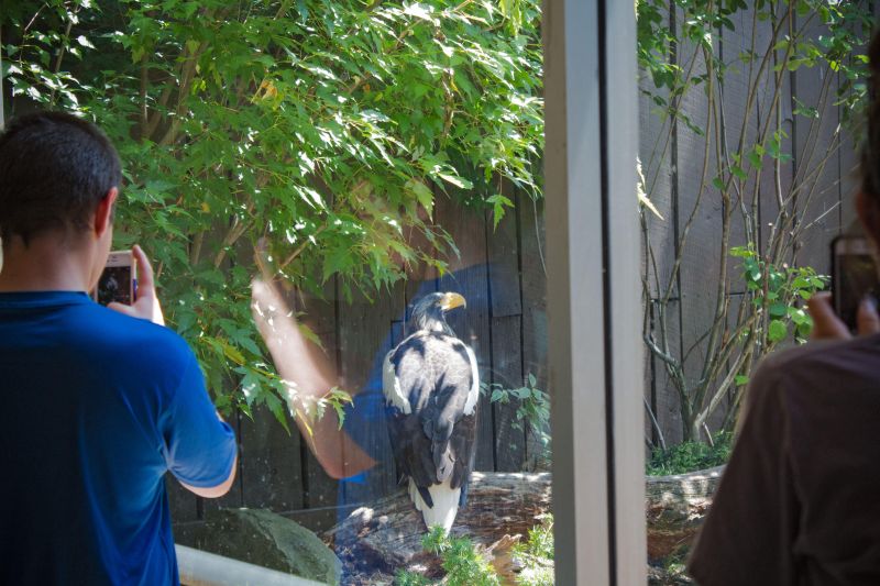 On the Grid : The National Aviary