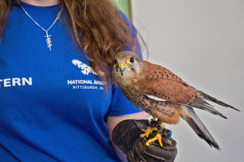 On the Grid : The National Aviary