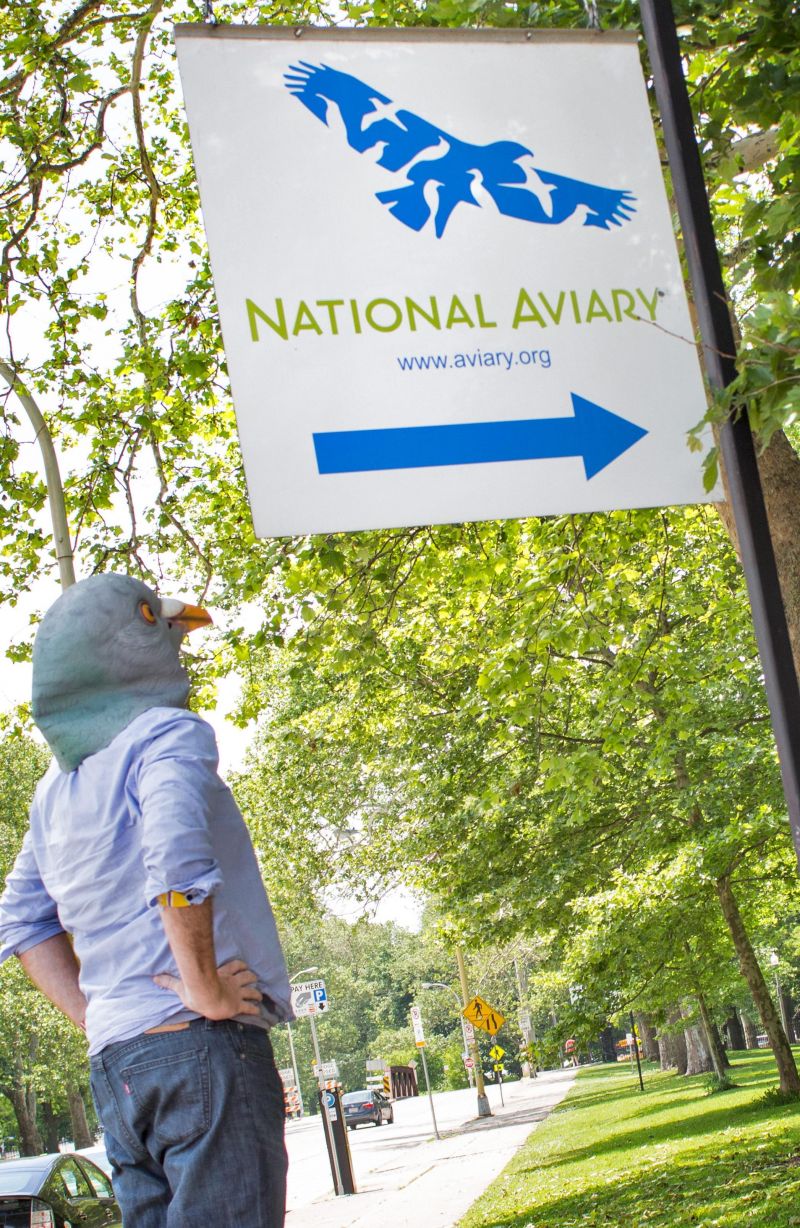 On the Grid : The National Aviary