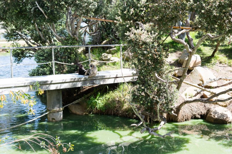 On the Grid : Santa Barbara Zoo