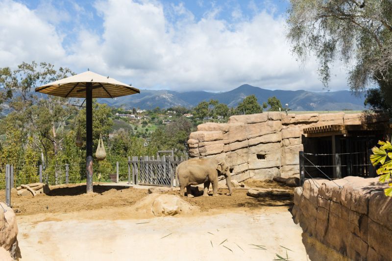 On the Grid : Santa Barbara Zoo