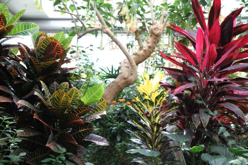 On the Grid : Pacific Science Center