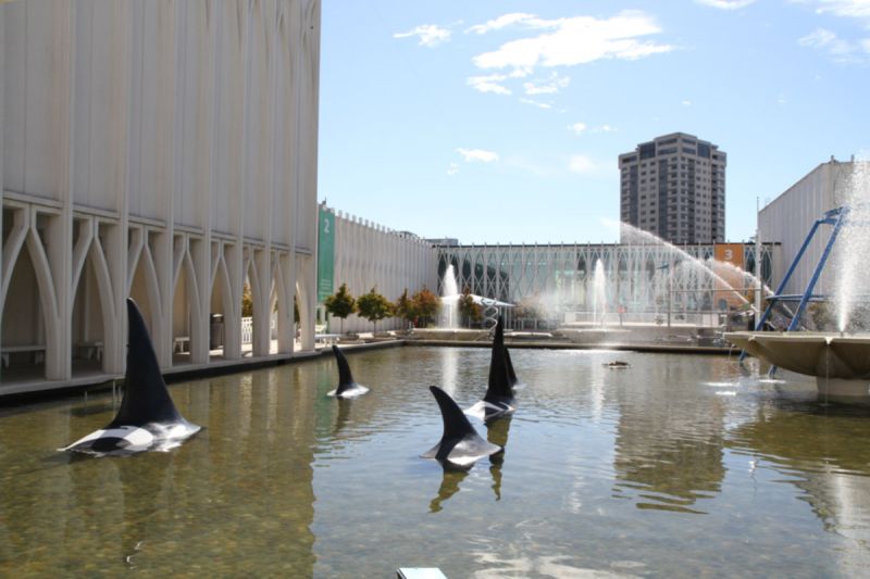 On the Grid : Pacific Science Center