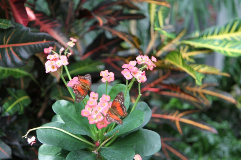 On the Grid : Pacific Science Center