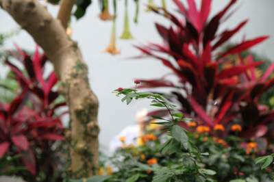 On the Grid : Pacific Science Center