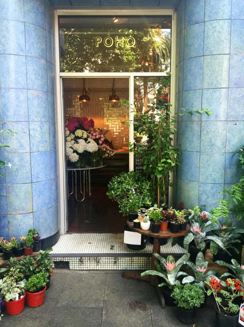 On the Grid : Poho Flowers