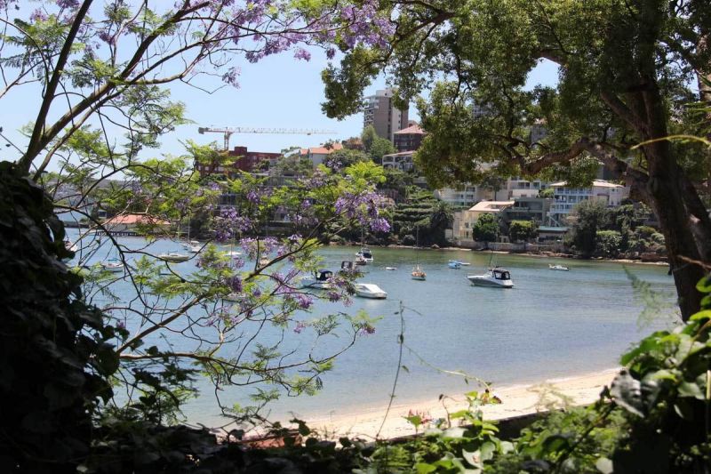 On the Grid : Redleaf Beach