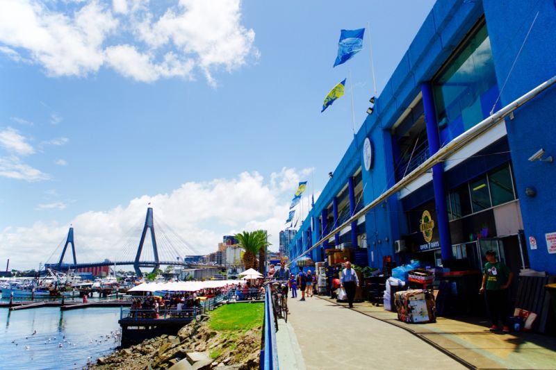 On the Grid : Sydney Fish Markets