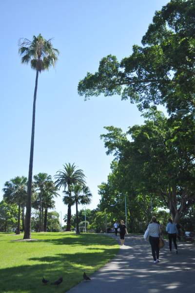 On the Grid : Prince Alfred Park