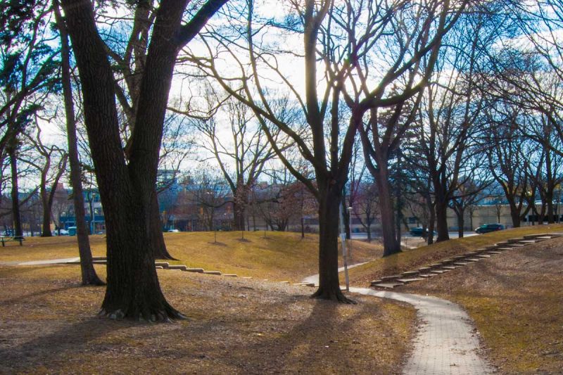 On the Grid : Dufferin Grove Park