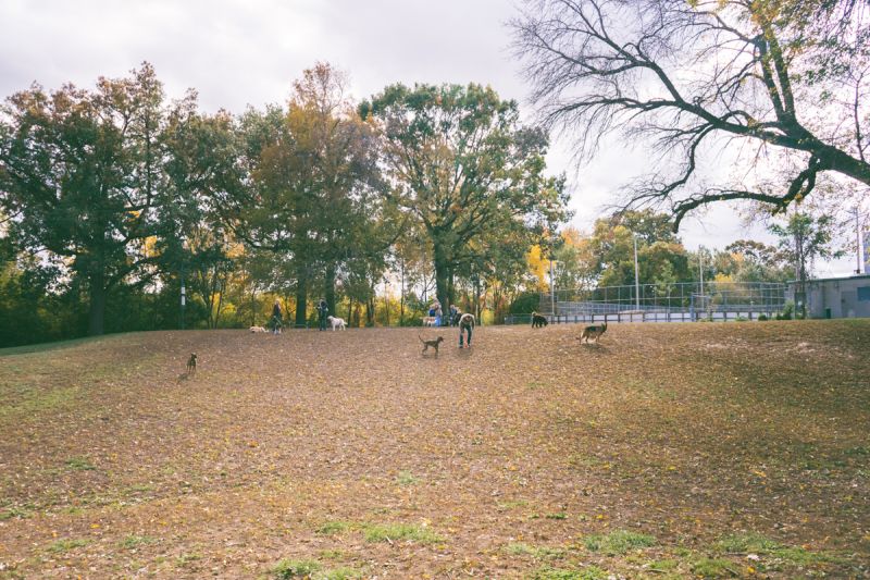 On the Grid : Monarch Park