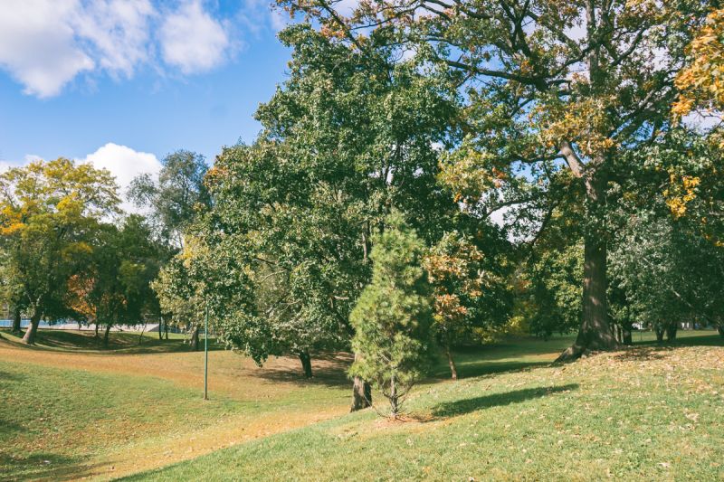 On the Grid : Monarch Park