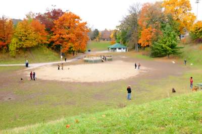 On the Grid : Trinity Bellwoods Park