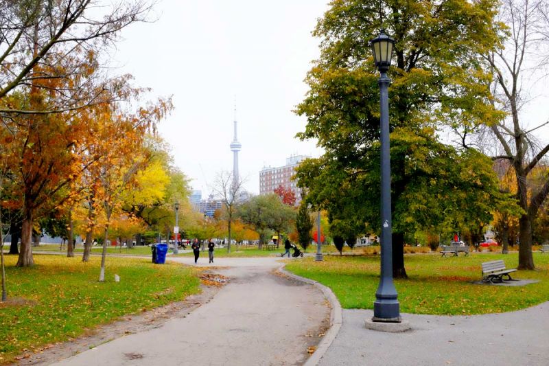 On the Grid : Trinity Bellwoods Park