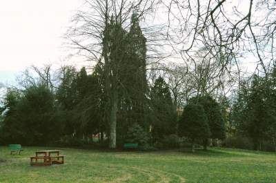 On the Grid : Stadacona Park